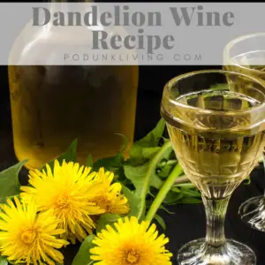 Best Dandelion Wine Recipe: Podunk's Liquid Sunshine - Podunk Living