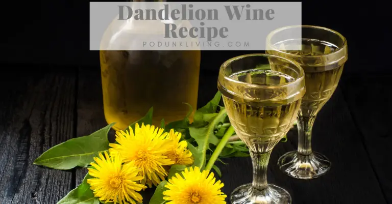 Best Dandelion Wine Recipe - Podunk Living