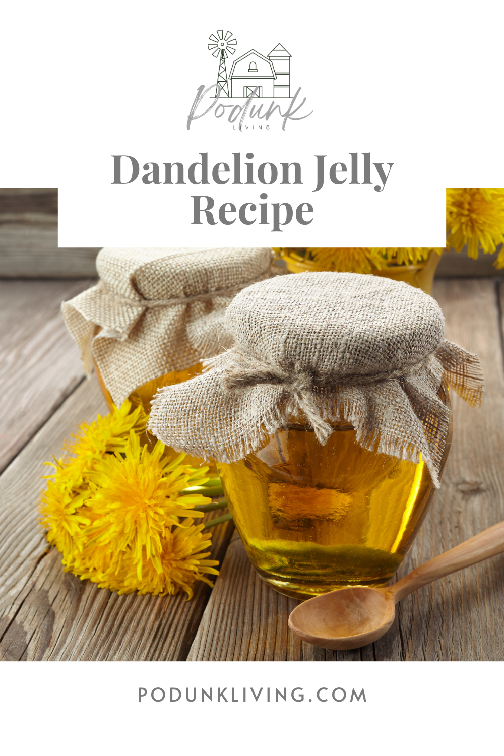 Dandelion Jelly Recipe - Podunk Living