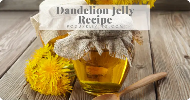 Best Dandelion Wine Recipe: Podunk's Liquid Sunshine - Podunk Living