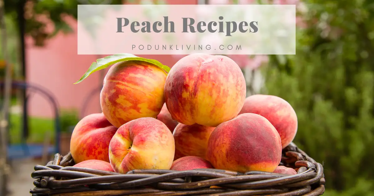 Peach Recipes: A Podunk Roundup of Delicious Ideas - Podunk Living