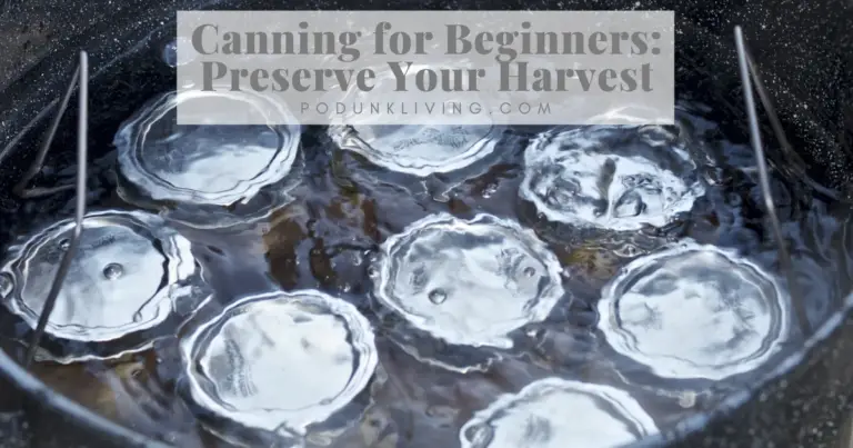Canning for Beginners: A Down-Home Guide to Preserving Your Harvest ...